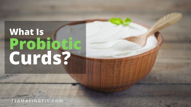 6 Best Probiotic Curds In India With It's Benefits And Prices